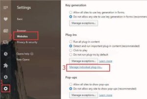 How to Enable Adobe Flash Player in Your Browser