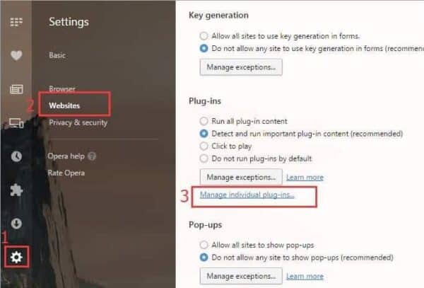How to Enable Adobe Flash Player in Your Browser