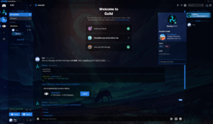 Top 5 Best BetterDiscord Themes and How to Install?