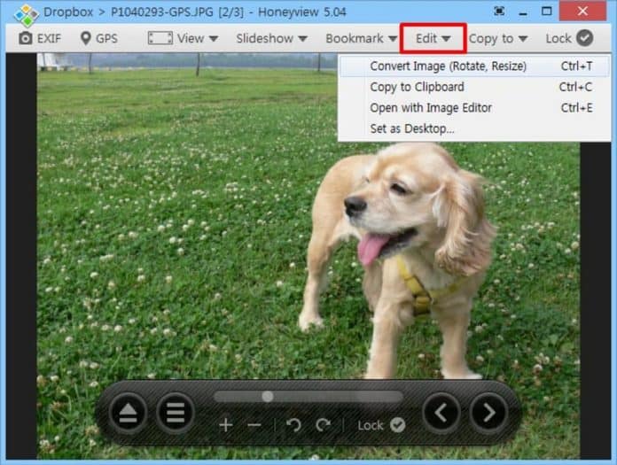 Top 10 Best Free Photo Viewers For Windows 10
