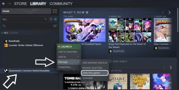 What is Steamworks Common Redistributables? Should You Remove It?