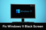 Windows 11 Black Screen of Death? Here’s How to Fix It Fast