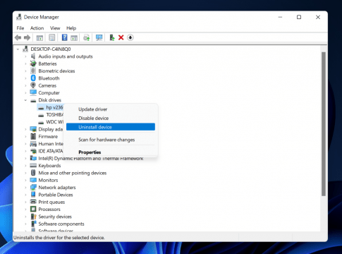 7 Ways to Fix Windows 11 External Hard Drive Not Showing Up