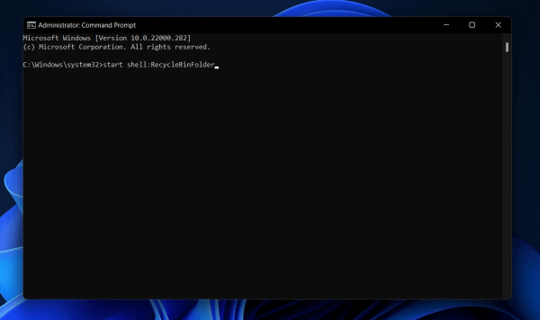 How to Open Recycle Bin on Windows 11 PC (5 Methods)