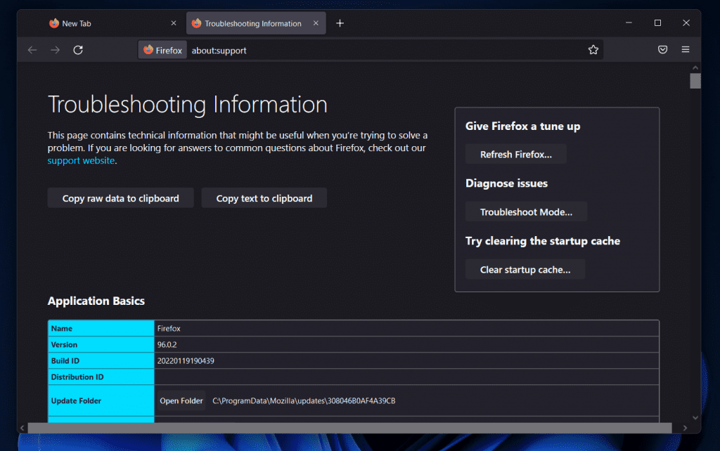 How to Fix Fire­fox Freezing or Not Respond­ing on Windows 11