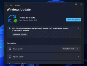 5 Ways To Fix Fallout 3 Crashing On Windows 10/11