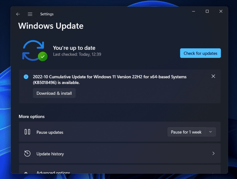 5 Ways To Fix Fallout 3 Crashing On Windows 10/11