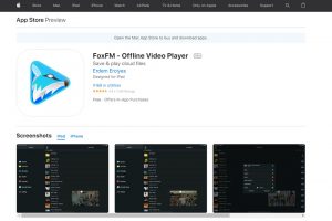 Top 12 Best Video Downloaders for Windows 11 Free (2024)