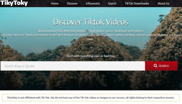 Top 5 Best TikTok Viewers Online For Free in 2024 | Tik Tok Viewer Working