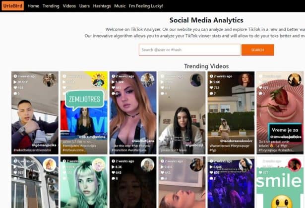 Top 5 Best TikTok Viewers Online For Free in 2024 | Tik Tok Viewer Working