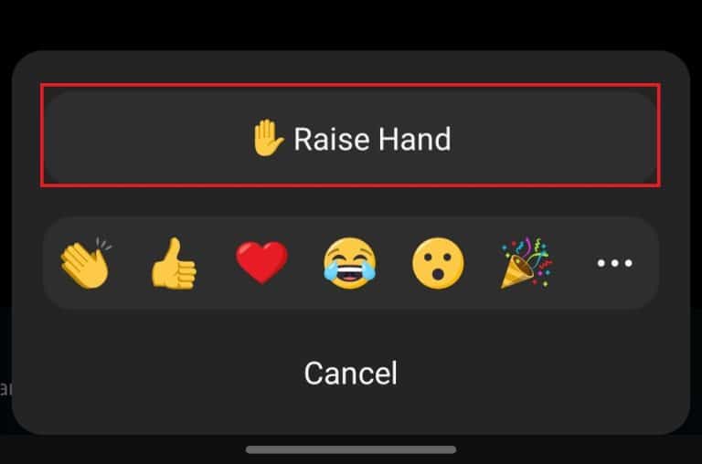 How to Raise Your Hand in a Zoom Meeting on PC/Mobile