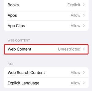 5 Ways to Turn OFF Incognito Mode on iPhone Browsers