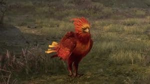 Where to Find a Phoenix in Hogwarts Legacy?