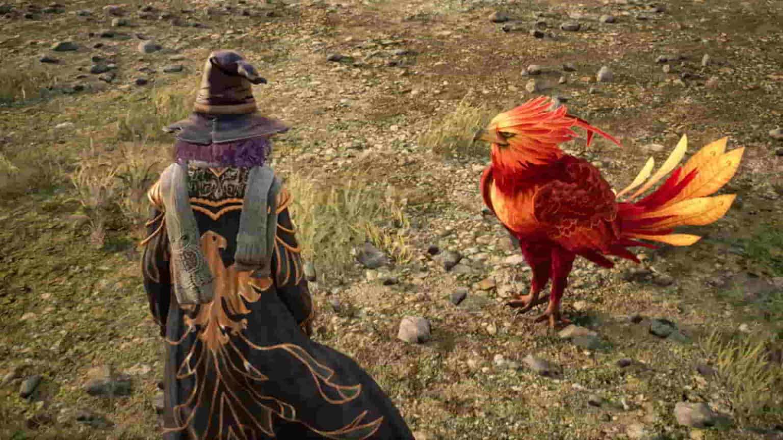 Where to Find a Phoenix in Hogwarts Legacy?