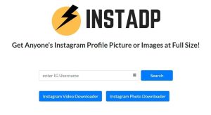 Top 10 Best Picuki Alternatives For Instagram of 2025