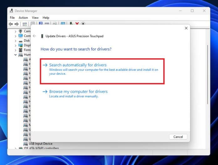 Top 6 Ways to Fix Two-Finger Scroll Not Working Issue on Windows 11