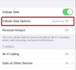 How To Update Cell Towers Verizon iPhone (2023)