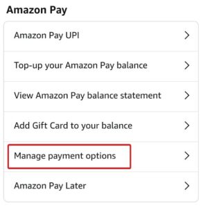 How to Pay with Apple Pay on Amazon (2024)