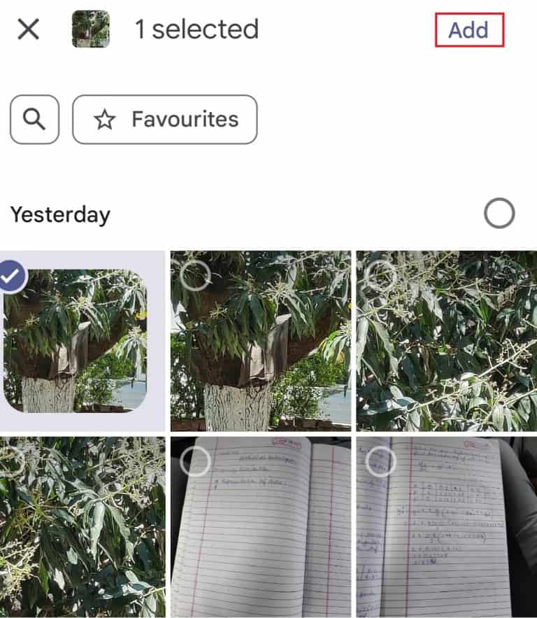 How to Make Shared Album and Share Collaborative Albums in Google Photos