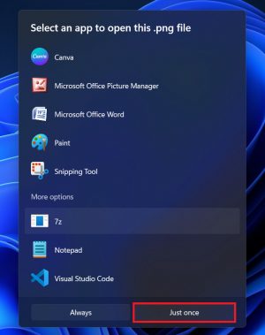 How to Open Null File On Android, iPhone, Windows, Mac (2024)