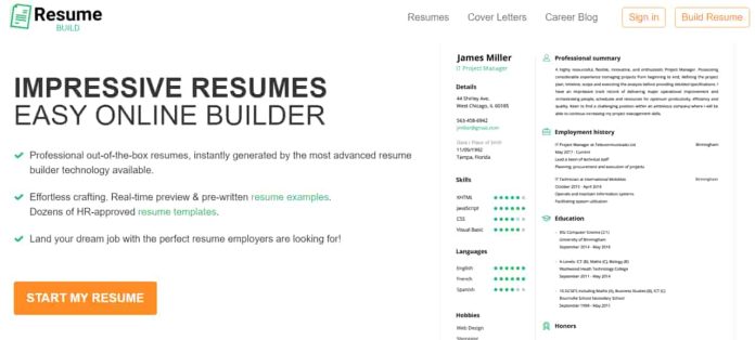 How to Create Professional Resume Online for Free 2024: Best Resume Builder