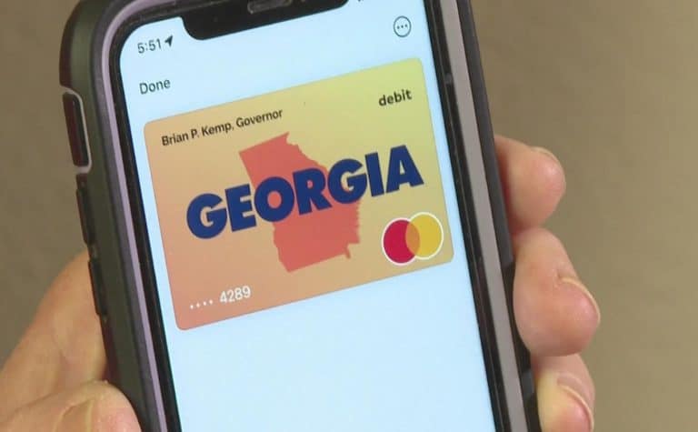 Georgia Gateway Portal Login at gateway.ga.gov Client ID Number (2024)