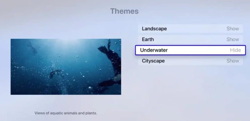Apple TV Screensaver Locations: How to Switch and Manage Like a Pro