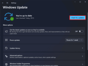 5 Ways to Update Graphics Driver on Windows 11,10