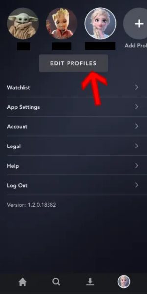 5 Ways to Change Disney+ Profile Picture on TV, Mobile, PC