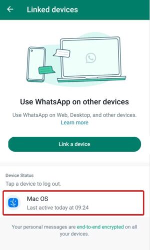 How to Fix WhatsApp Web Copy Paste Not Working Issues