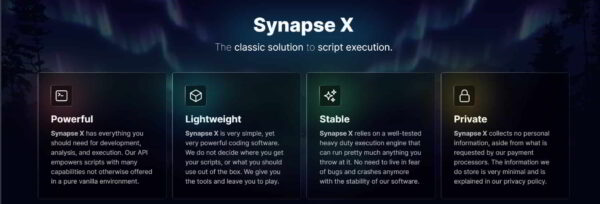 How to Download & Use Synapse X for Roblox 2025