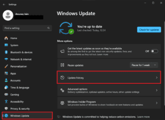 How to Fix BlueStacks Incompatible Windows Settings | Hyper-V Error